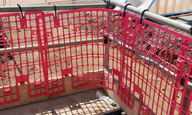 Flexible-secure-scaffolding-coverage - Sure Guard